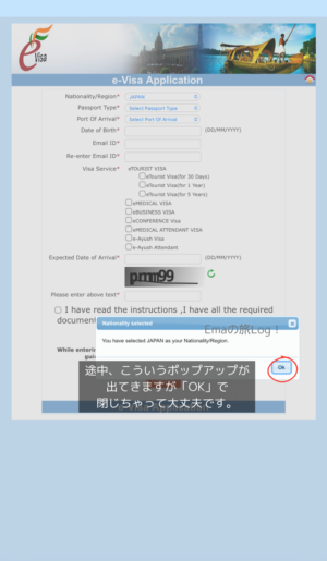【画像で解説】インドのビザはe-VISA（オンラインビザ）一択！取り方まとめ - 日本人があまり行かない国の魅力を届けたい